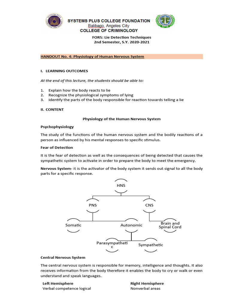 HANDOUT-4-Physiology of Human Nervous System | PDF
