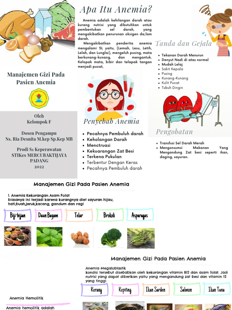 Leaflet Manajamen Gizi Pada Pasien Anemia | PDF