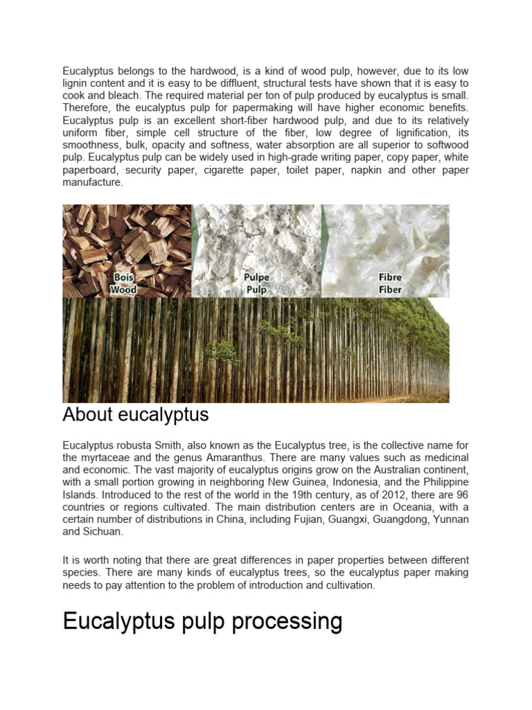 Eucalyptus: Hardwood Pulp Benefits | PDF | Pulp (Paper) | Paper