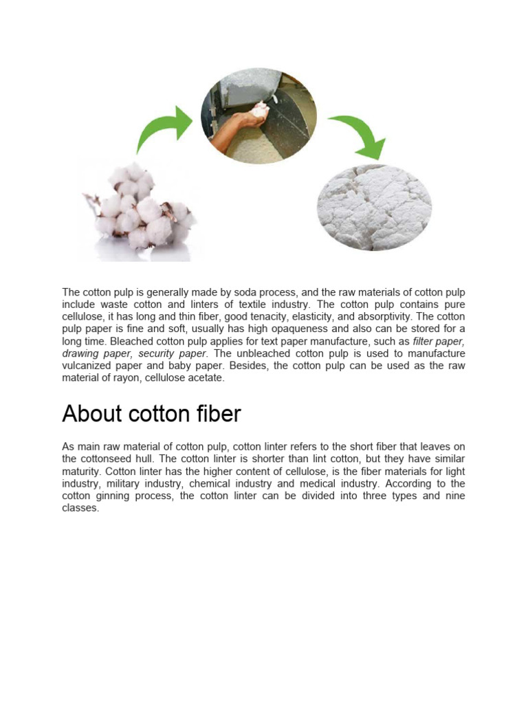 Cotton | PDF | Pulp (Paper) | Paper