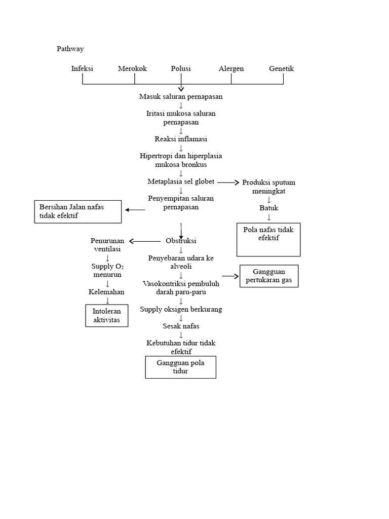 Pathway Asma Bronkial | PDF