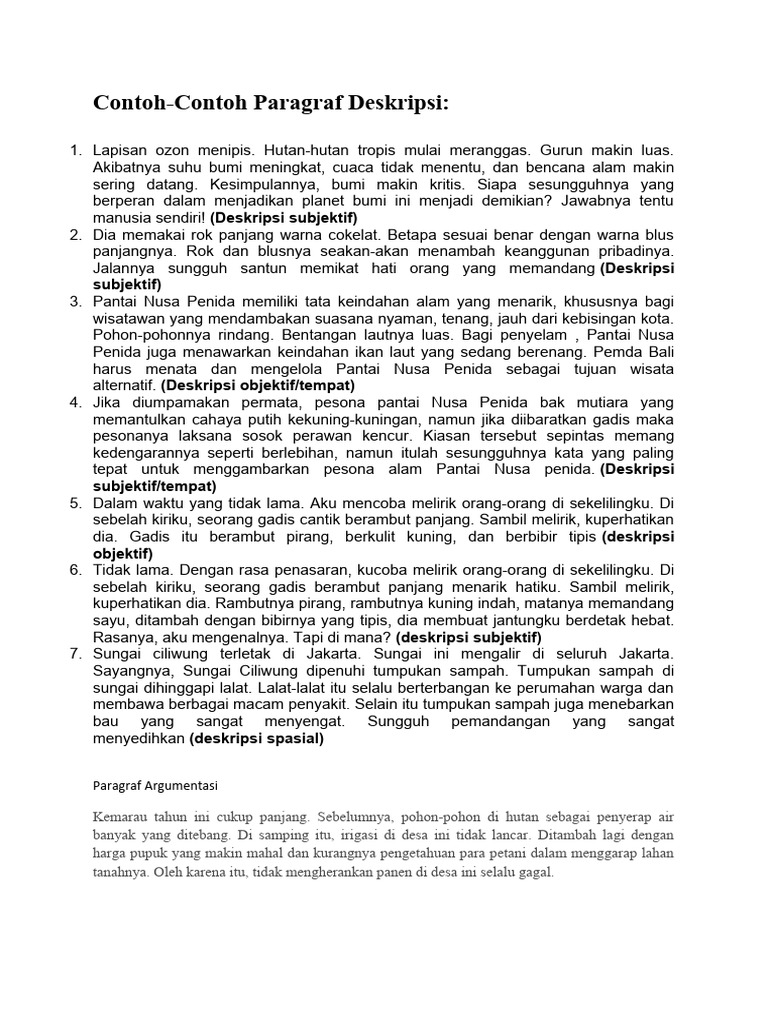 Contoh Paragraf | PDF