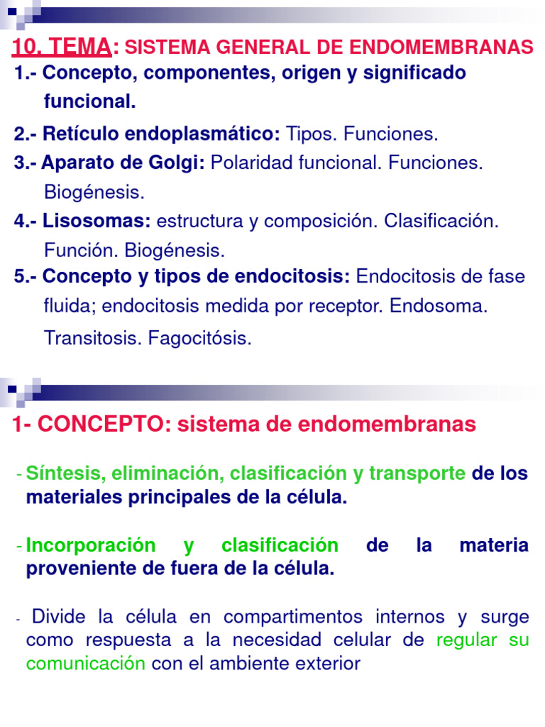 Sistema de Endomembranas Celulares | PDF | Retículo endoplásmico ...