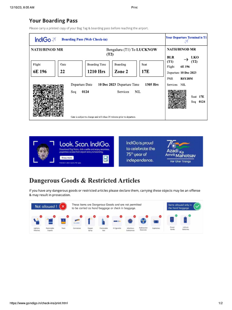 Binod - Boarding Pass | PDF
