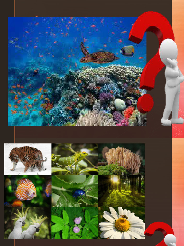 Asynchronous Biodiversity | PDF | Biodiversity | Ecosystem