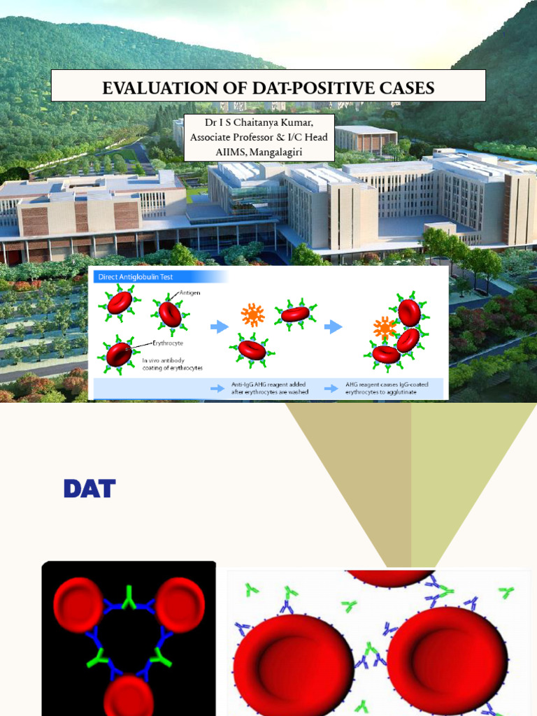 Evaluation of DAT | PDF