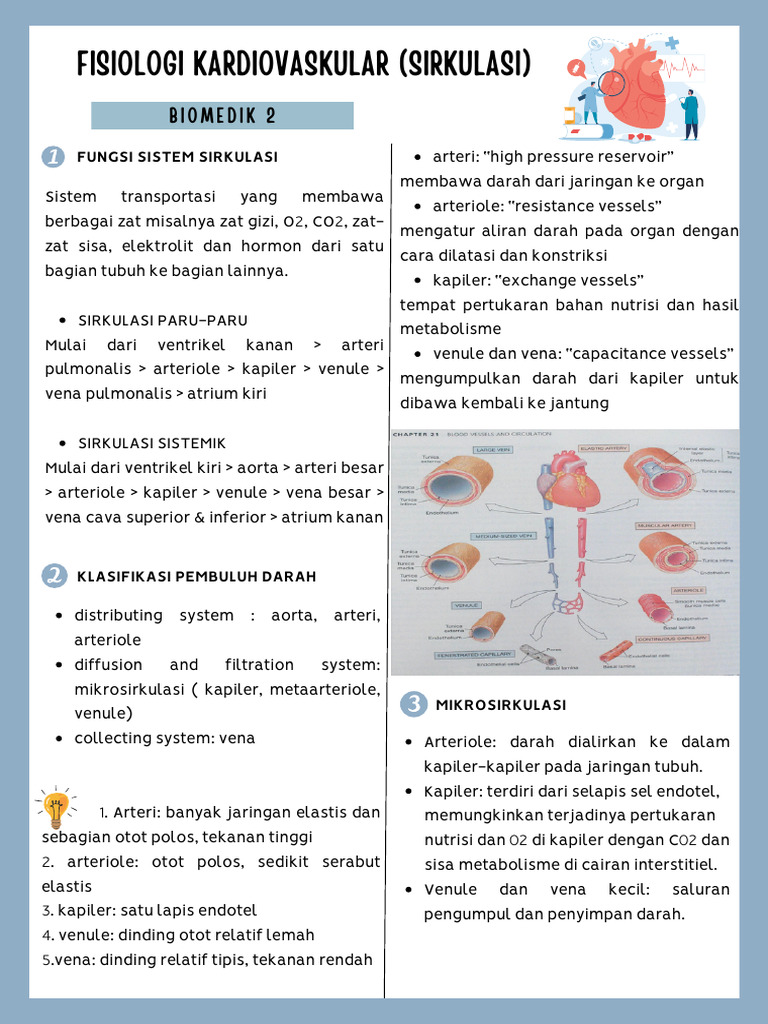 Catatan Fisiologi Kardiovaskuler (Sirkulasi) | PDF