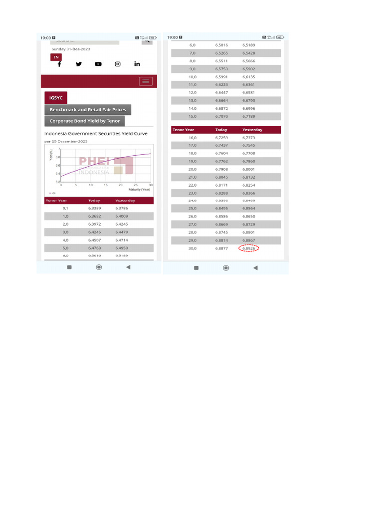 Ibpa 29 Desember 2023 | PDF