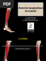 Anatomie de la Cheville et Fonctions | PDF | Pied | Jambe humaine