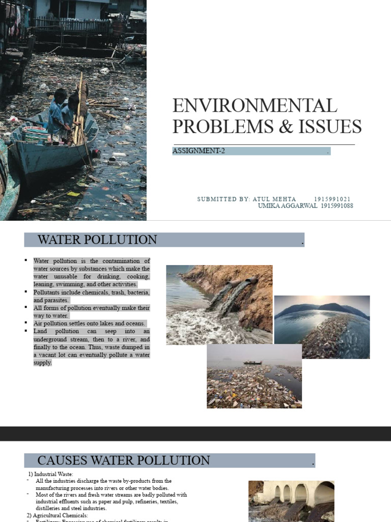 ENVIRONMENTAL PROBLEMS & ISSUES | PDF