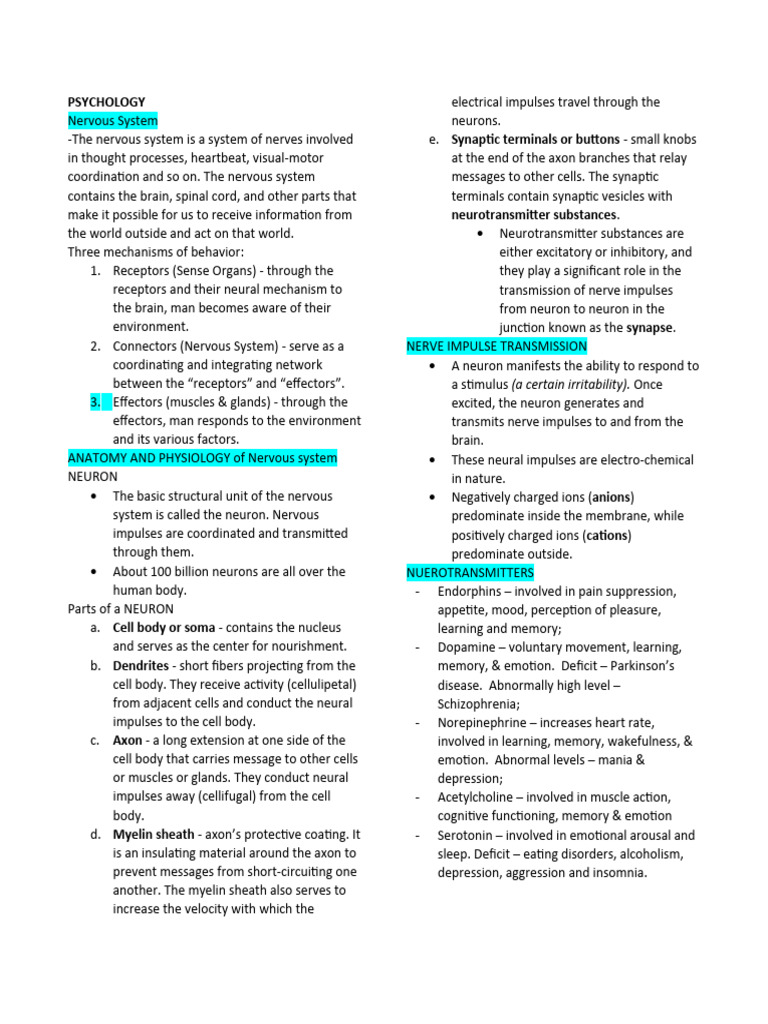 Intro To Psych-Brain Parts | PDF