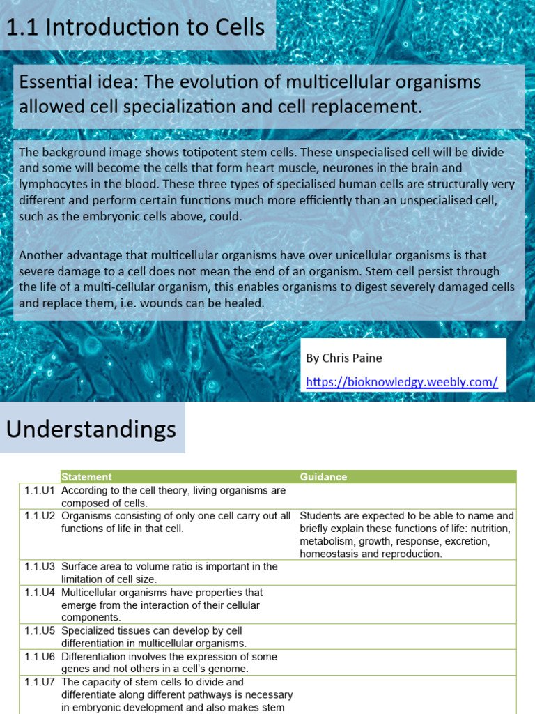 1.1 Introduction To Cells | PDF | Stem Cell | Hematopoietic Stem Cell Transplantation
