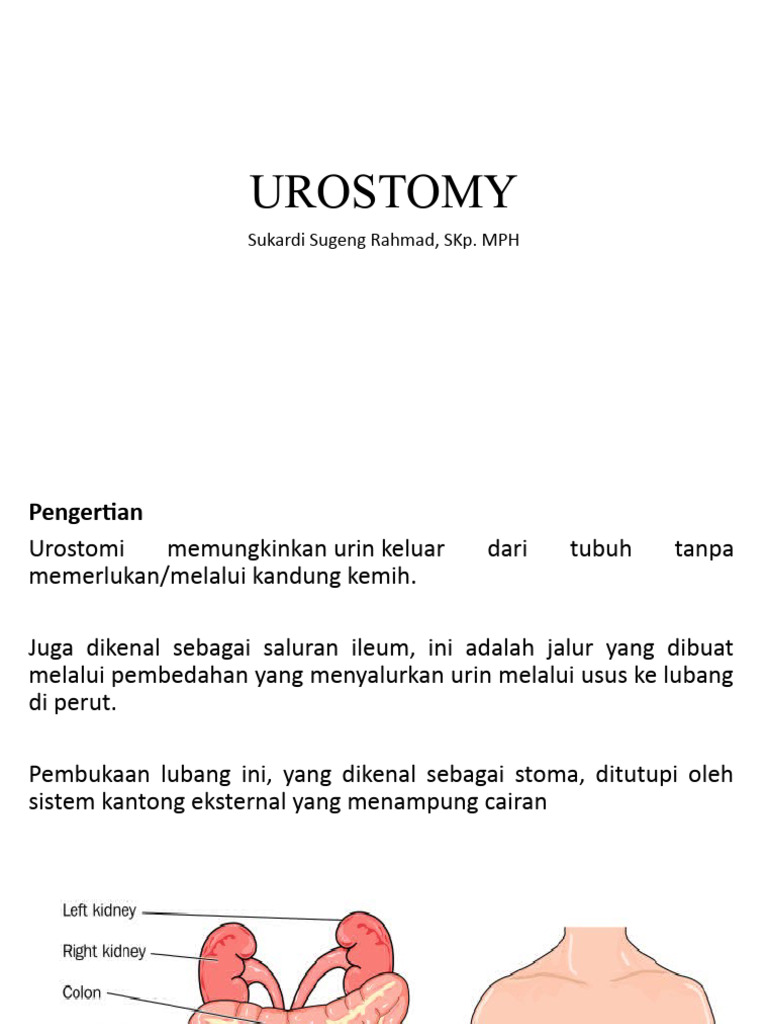 Panduan Lengkap Urostomi dan Perawatannya | PDF | Sains & Matematika
