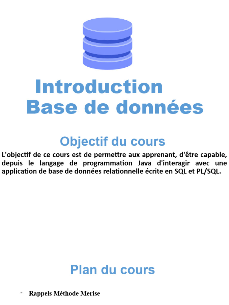 Introduction Merise | PDF
