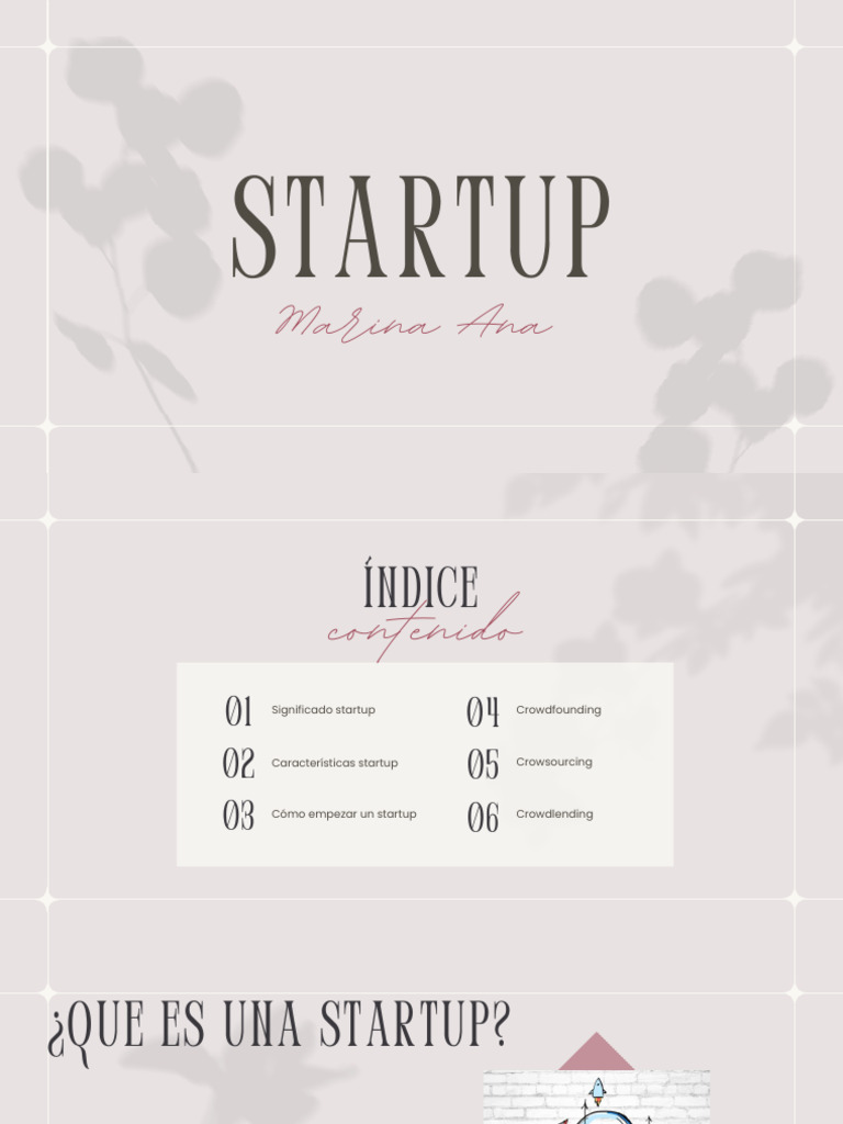 Presentación Startup | PDF | Negocios