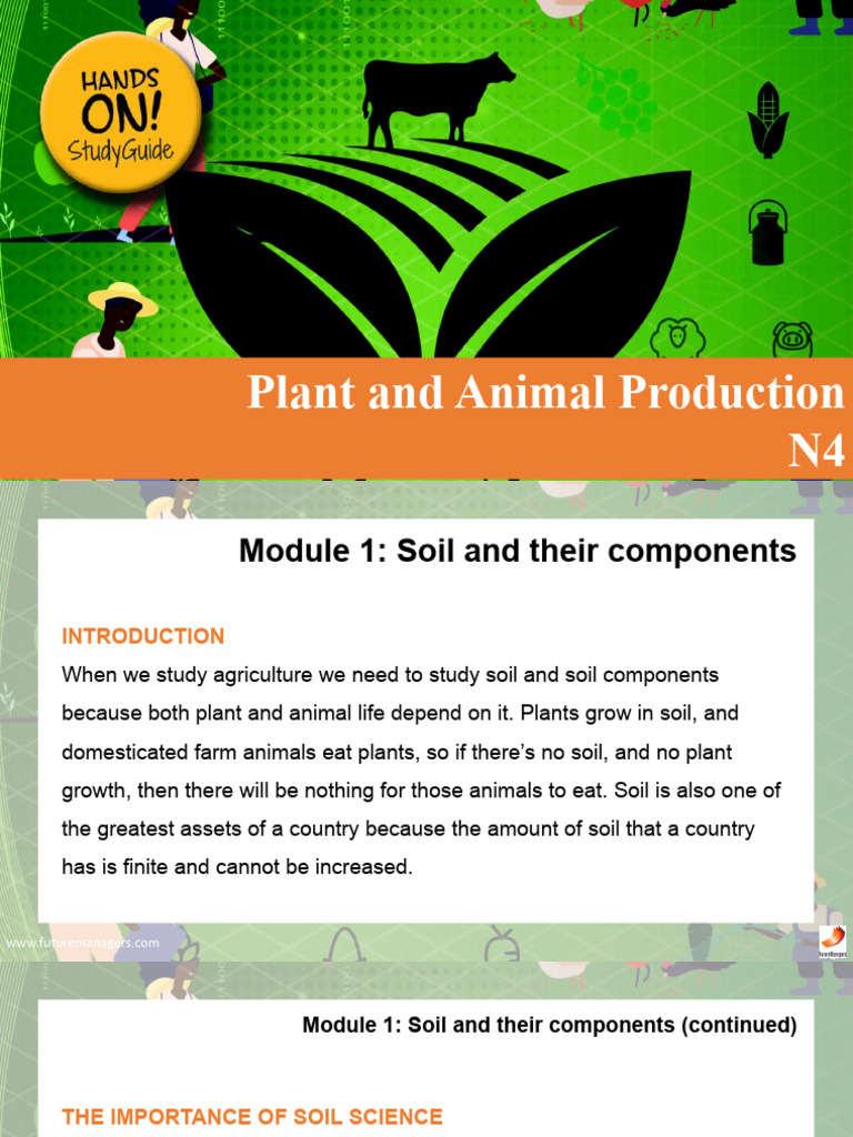 N4 Plant and Animal Production | PDF