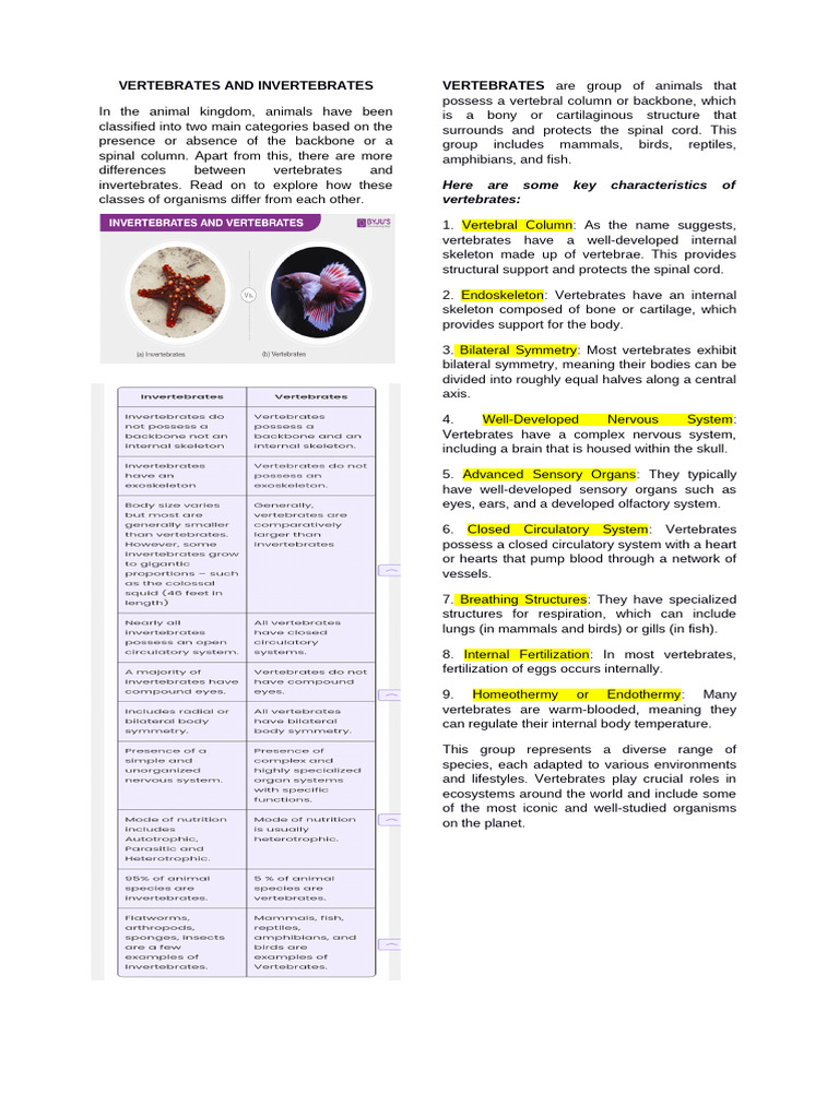 Vertebrates vs Invertebrates Guide | PDF | Invertebrate | Vertebrates