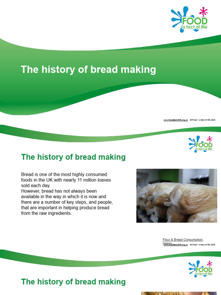 The History of Bread (1) | PDF | Breads | Flour