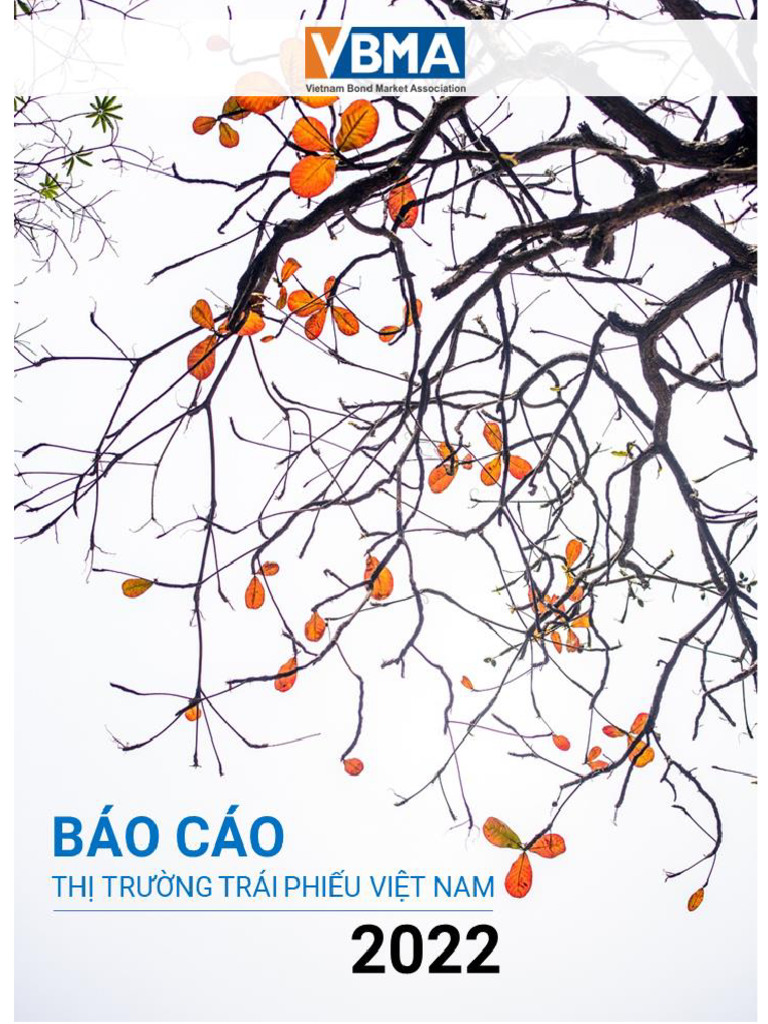 Vbma_bao Cao Thuong Nien 2022 - Revised | PDF