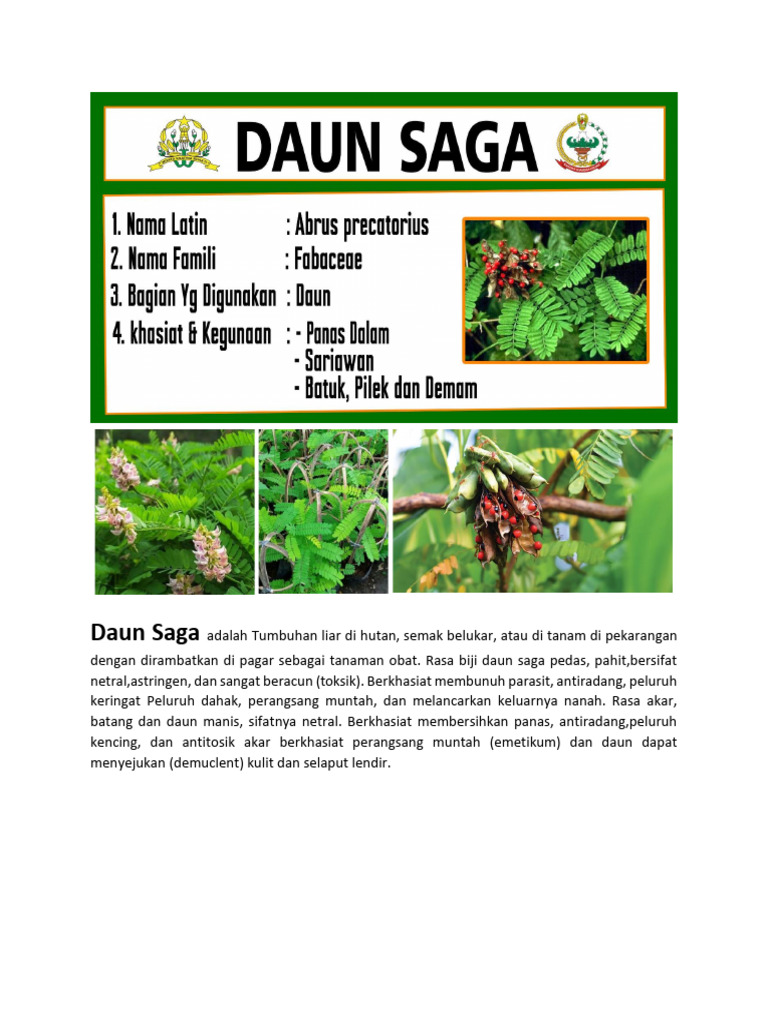 Manfaat dan Risiko Daun Saga | PDF | Sains & Matematika