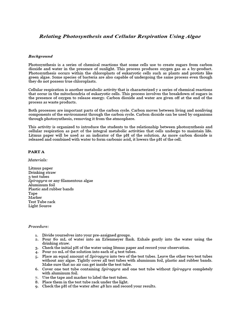 Photosynthesis-and-Cellular-Respiration Print | PDF | Self-Improvement | Wellness