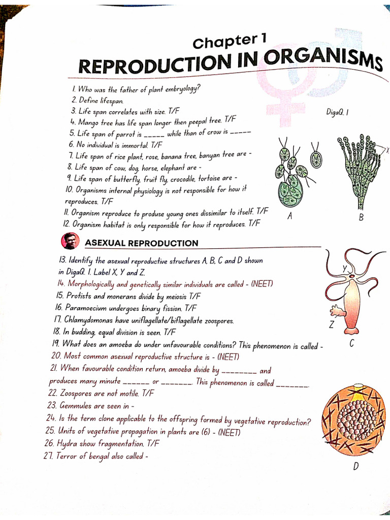 1 Reproduction in Organism | PDF