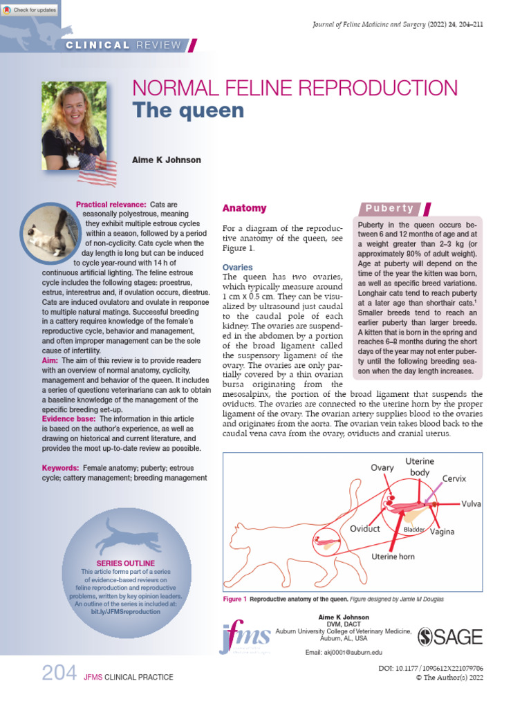 Normal Feline Reproduction | PDF