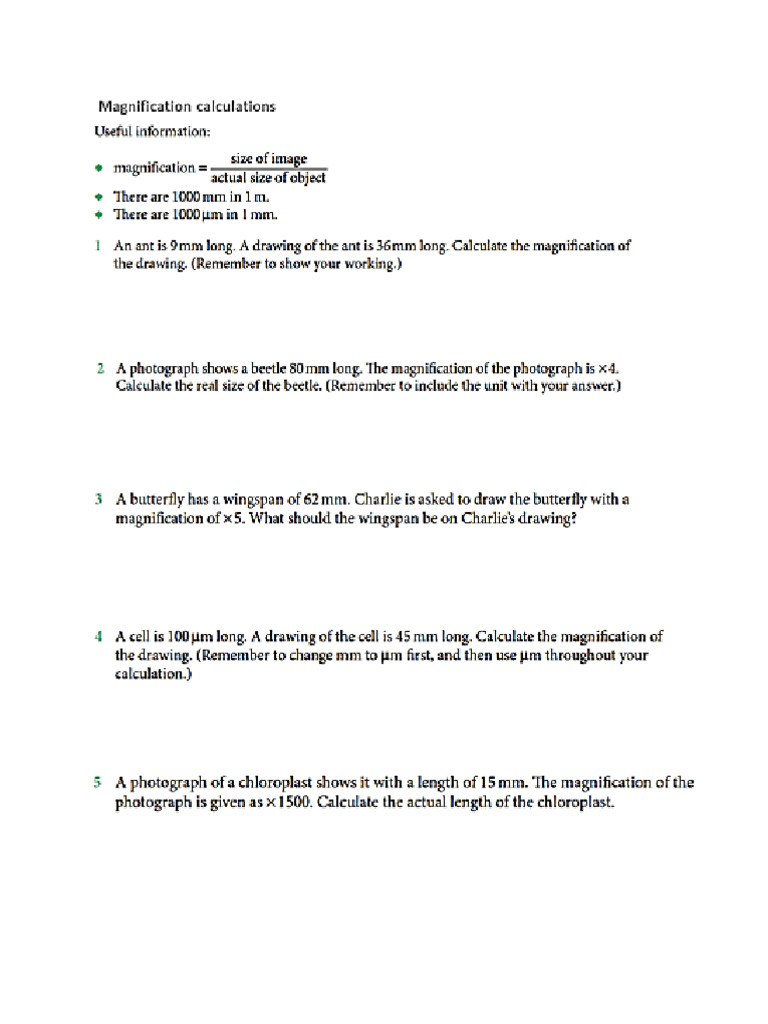 Magnification Worksheet | PDF
