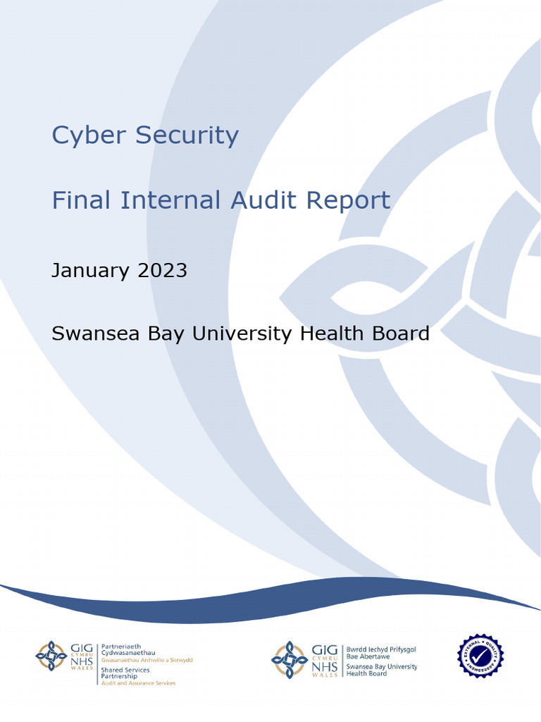 Cyber Security Audit Report 2023 | PDF