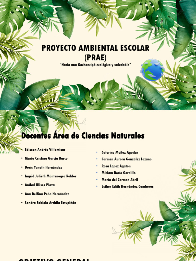 Proyecto Ambiental Escolar (Prae) . | PDF | Entorno natural | Ciencias ...