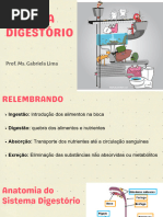 Quimo e Quilo | PDF | Digestão | Estômago