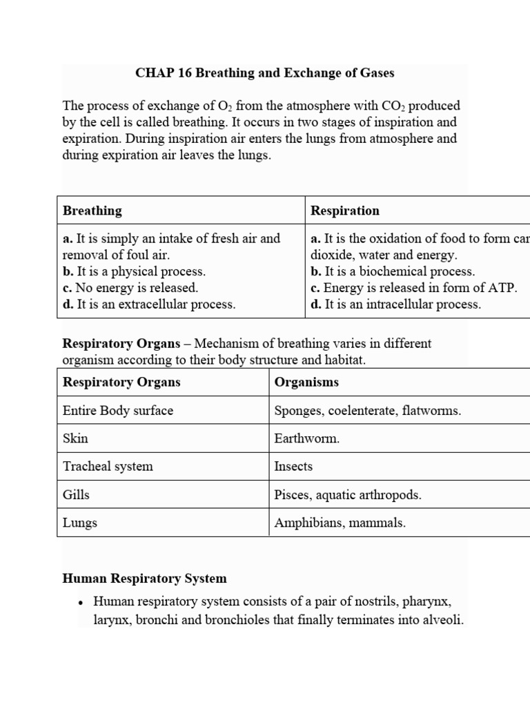 Chap 16 Breathing Notes Pdf Foreign Language Studies