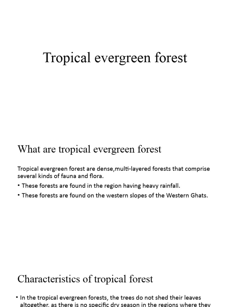 Characteristics of Tropical Evergreen Forests | PDF