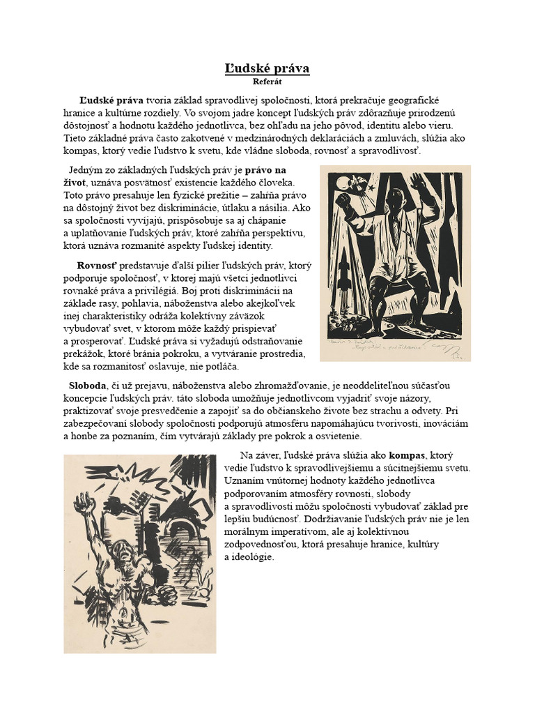 Ľudské Práva - Referát OBN | PDF