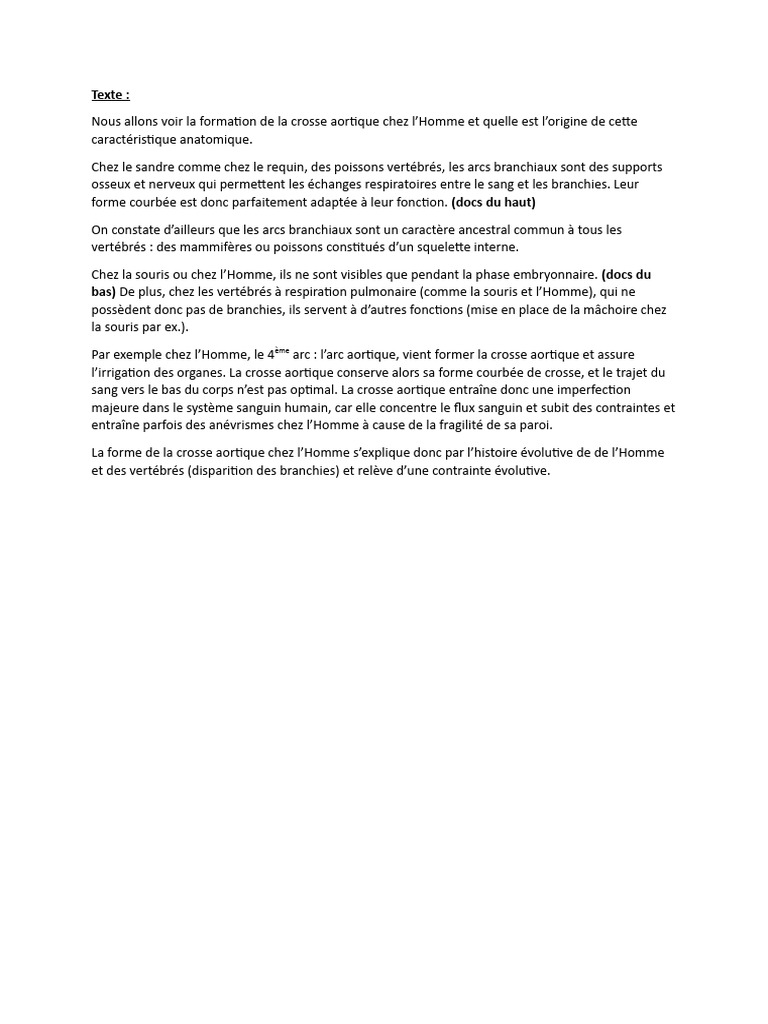 Anatomie de la crosse aortique humaine | PDF