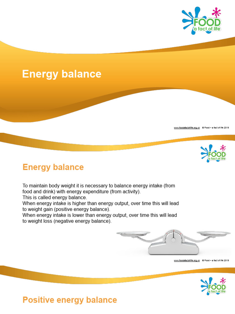 Understanding Energy Balance for Health | PDF | Social Science | Wellness