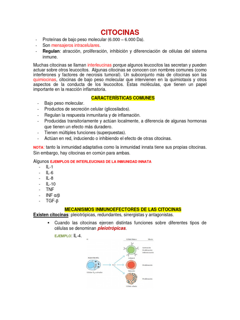 Citocinas | PDF | Citocina | Sistema inmune