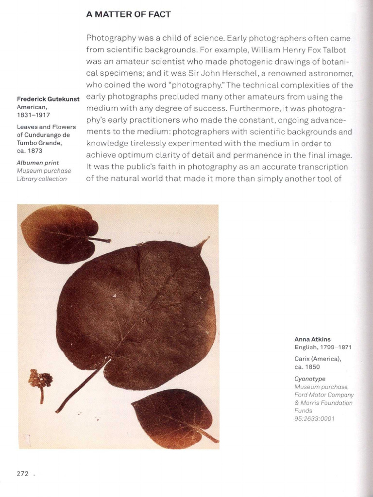 A History of Photography - Part 2 | PDF