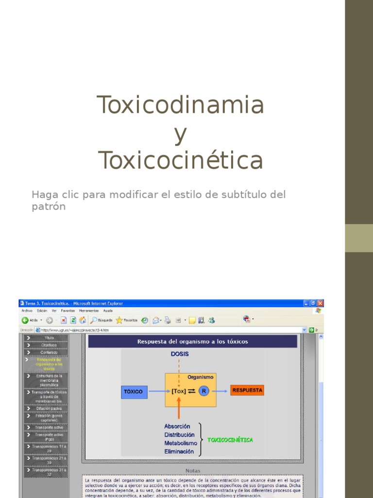 Toxicocinética y Toxicodinámica | PDF | Sangre | Pulmón