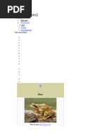 Rana Nodriza Niputidea (Allobates Niputidea) NaturaLista Colombia | PDF