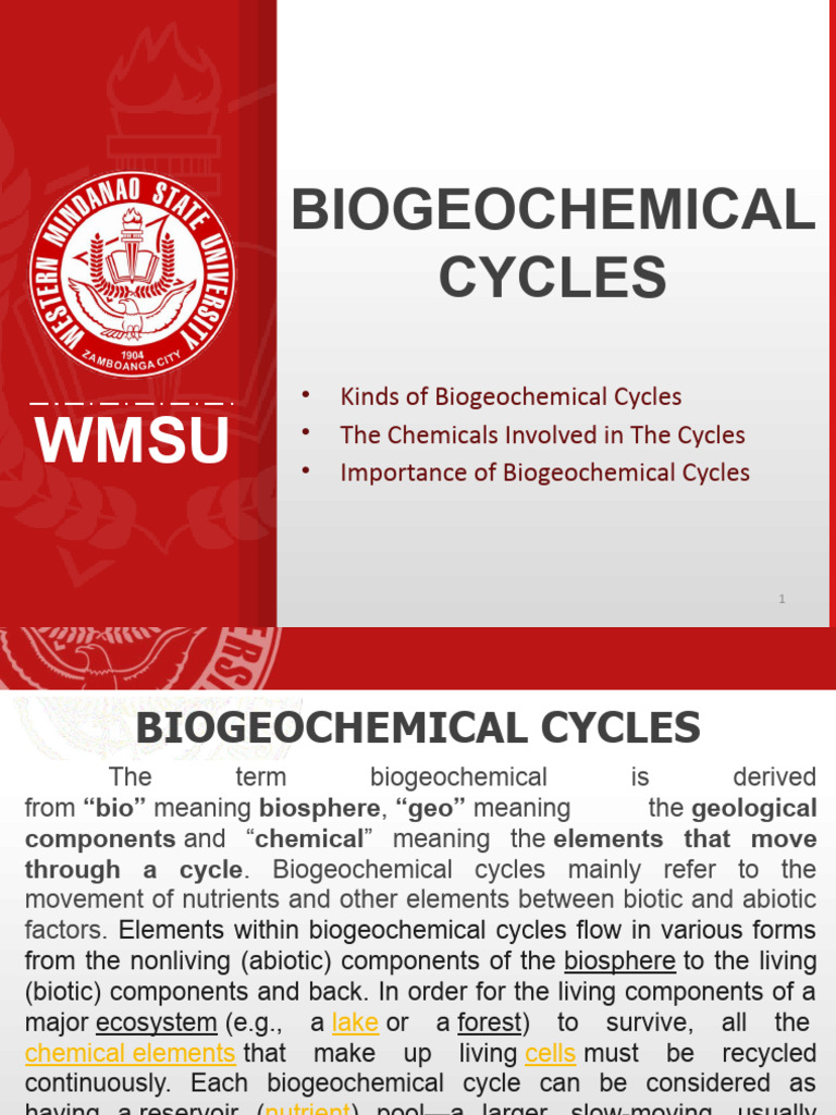 Group 2 Biogeochemical Cycles | PDF | Water Cycle | Water