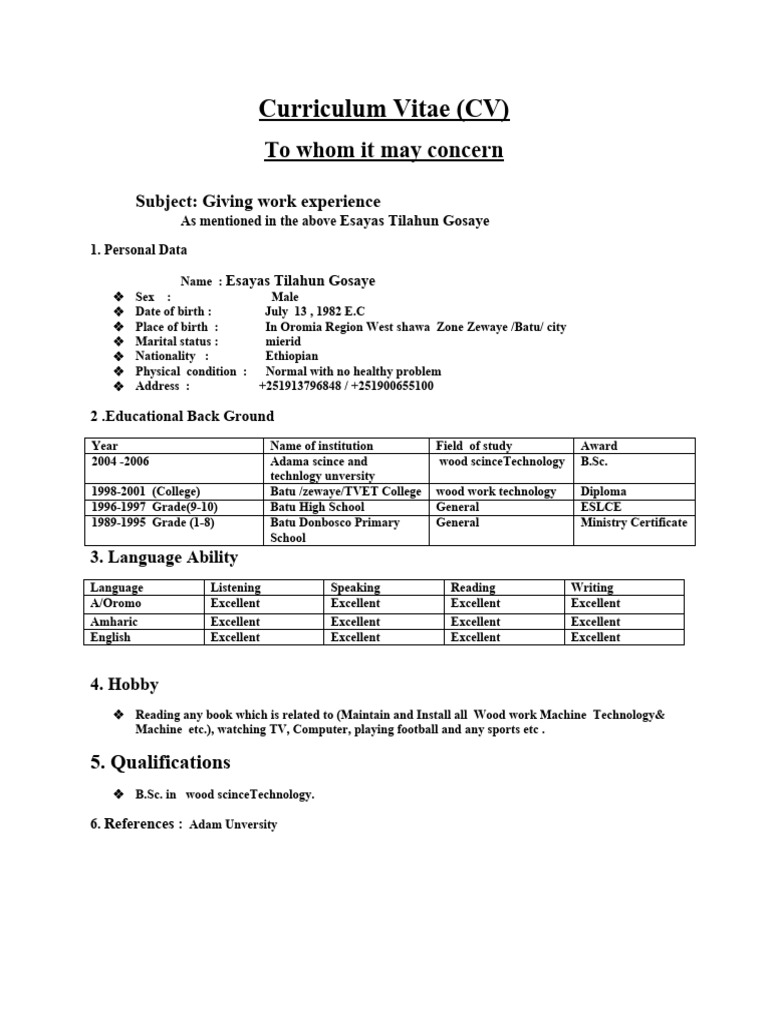 Curriculum Vitae Dani | PDF