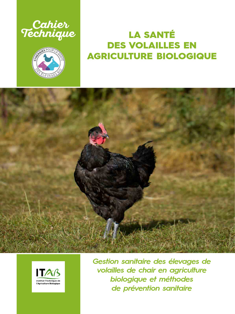 Santé des volailles en bio : Guide pratique | PDF | Agriculture ...