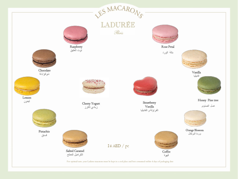 UAE New Macaron Mosaic Jan 2024 | PDF