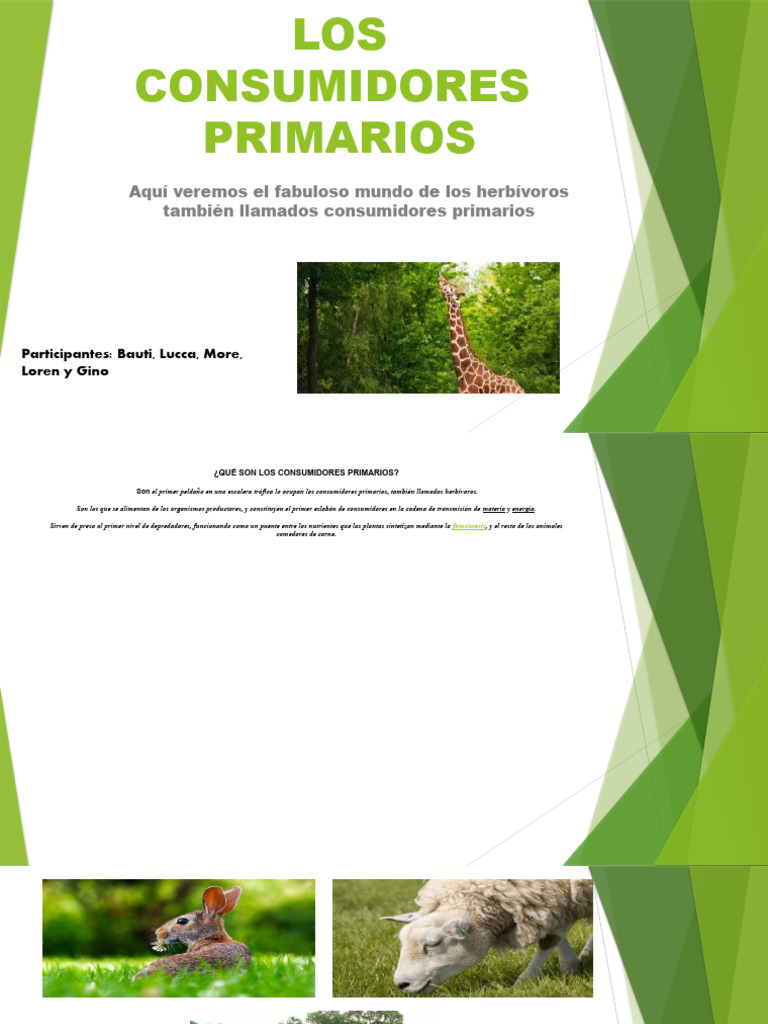 LOS CONSUMIDORES PRIMARIOS Pps | PDF | Ciencia y matemáticas