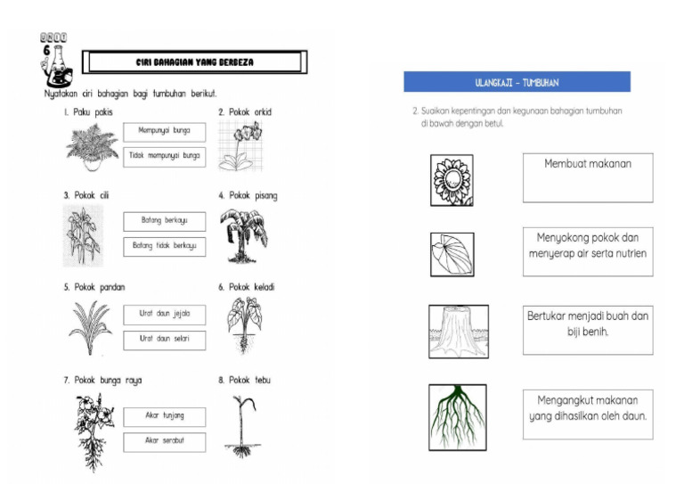Puzzle Sains Tingkatan 2 | PDF