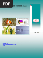 STD 12 Computer Textbook | PDF