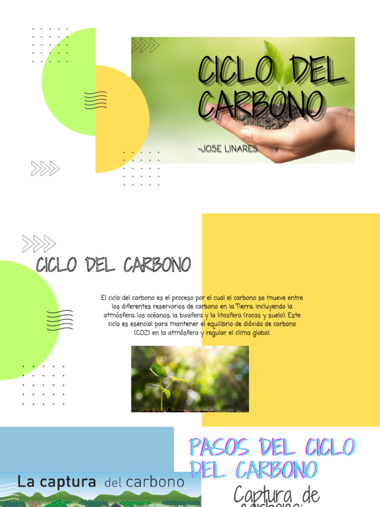 Ciclo Del Carbono | PDF | Ciclo del carbono | Dióxido de carbono