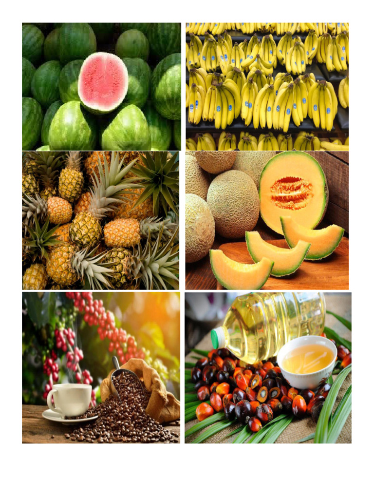 Productos de Exportacion Honduras | PDF