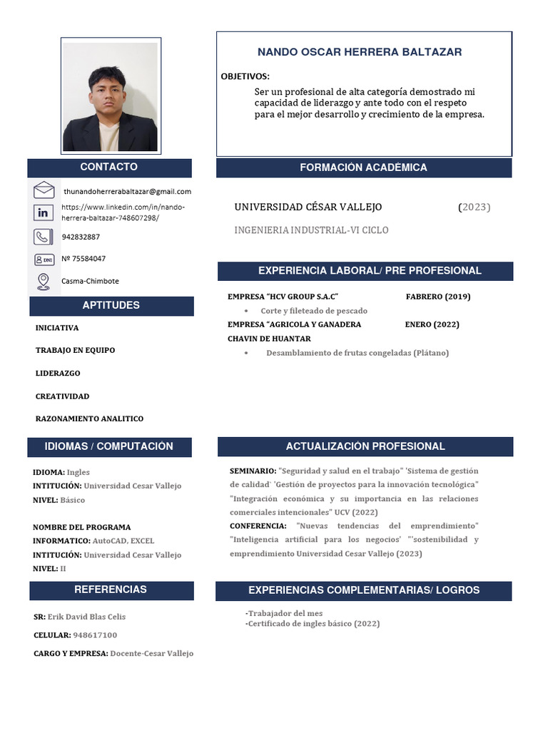 FORMATO CV EXAMEN | PDF | Economias | Business